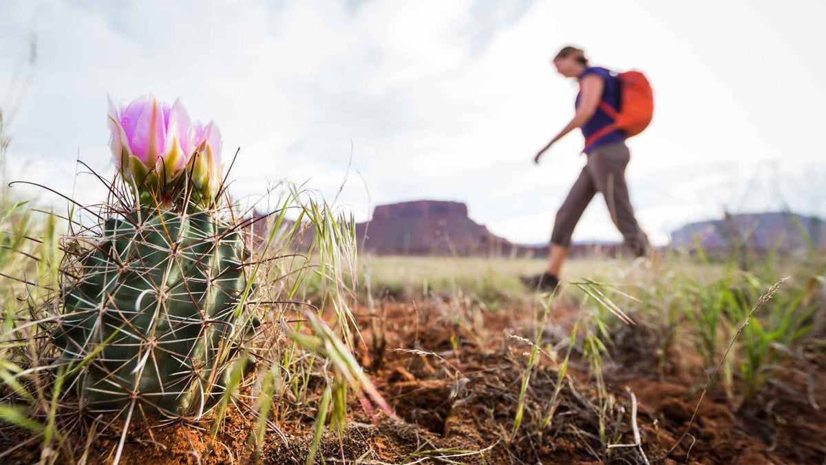 Senderismo en Querétaro para principiantes: 3 rutas para 2026 – Osprey